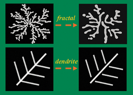 Silver nanowires growth via branch fragmentation of electrochemically ...