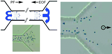 Charge-based particle separation in microfluidic devices using combined ...