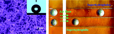 Superhydrophobic surface created by the silver mirror reaction and its ...