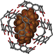 Exploring the limits of encapsulation within hexameric pyrogallol[4 ...