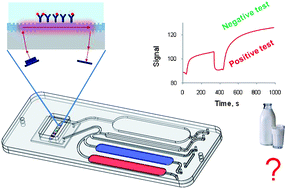 Lab-on-a-chip for multiplexed biosensing of residual antibiotics in ...
