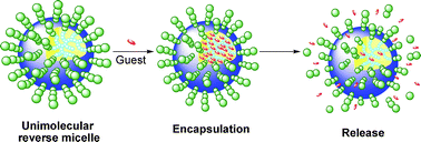 Unimolecular micelles based on hyperbranched polycarbohydrate cores ...