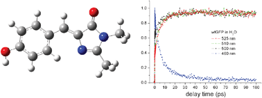 Excited state reactions in fluorescent proteins - Chemical Society ...