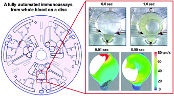 A fully automated immunoassay from whole blood on a disc - Lab on a ...