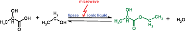 Microwave assisted enzymatic esterification of lactic acid and ethanol ...