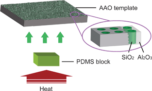 PDMS rubber as a single-source precursor for templated growth of silica ...