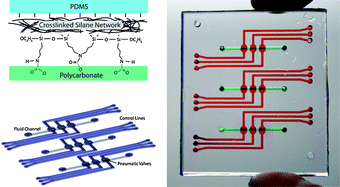 Plastic–PDMS bonding for high pressure hydrolytically stable active ...