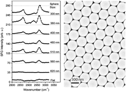 Surface-enhanced IR–visible sum frequency generation vibrational ...