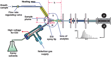 Development of extractive electrospray ionization ion trap mass ...