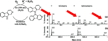 Photochemistry of norharmane in aqueous solution - Photochemical ...