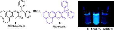A fluorogenic dye activated by S-nitrosothiols - Molecular BioSystems ...