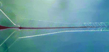 Multi-wavelength microflow cytometer using groove-generated sheath flow ...