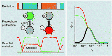 Fluorescence cross-correlation spectroscopy of a pH-sensitive ...