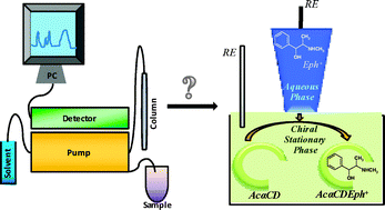 Chiral detection at a liquid–liquid interface - Chemical Communications ...