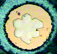 Halogen⋯oxygen aggregation and disorder modes in pressure frozen ...