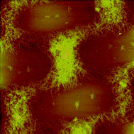 Controlled evaporative self-assembly of hierarchically structured ...