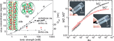 Phase behavior and rheology of attractive rod-like particles - Soft Matter (RSC Publishing)