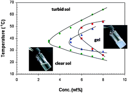 New thermogelling copolymers composed of heptakis(2,6-di-O-methyl)-β ...