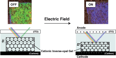 Electrochromism based on structural colour changes in a polyelectrolyte ...