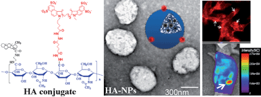 Self-assembled hyaluronic acid nanoparticles as a potential drug ...