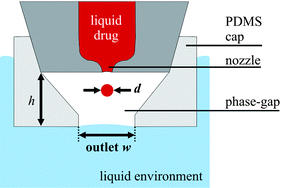 A modular diffusion barrier based on phase separation for localized ...