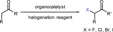 Organocatalyzed direct asymmetric α-halogenation of carbonyl compounds ...