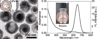 Preparation of SiO2 beads with highly luminescent and magnetic ...