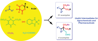 Multi-catalysis cascade reactions based on the methoxycarbonylketene ...
