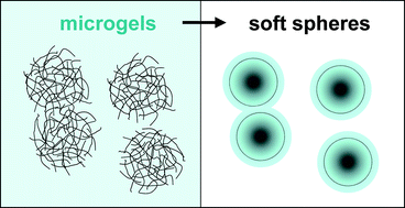 Interactions between microgel particles - Soft Matter (RSC Publishing)