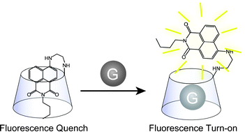 Unexpected fluorescent behavior of a 4-amino-1,8-naphthalimide derived ...