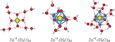 Micro-solvation of the Zn2+ ion—a case study - Physical Chemistry ...