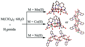 Metal complexes with N-(2-pyridylmethyl)iminodiacetate: from discrete ...