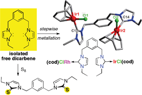A new stable CNHC⁁CH⁁CNHCN-heterocyclic dicarbene ligand: its mono- and ...