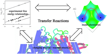 The analysis of enzymic free energy relationships using kinetic and ...