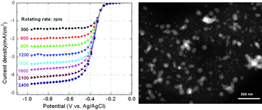 Carbon-supported Co1.67Te2 nanoparticles as electrocatalysts for oxygen ...