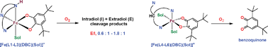 Synthesis, structure, spectra and reactivity of iron(iii) complexes of ...