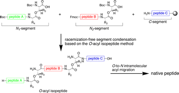 O-Acyl isopeptide method: efficient synthesis of isopeptide segment and ...