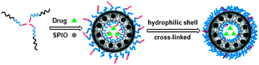 Retracted article: Shell-cross-linked stable multifunctional polymeric ...