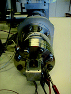 In situ identification of dimethyl diselenide in hepatocytes treated ...