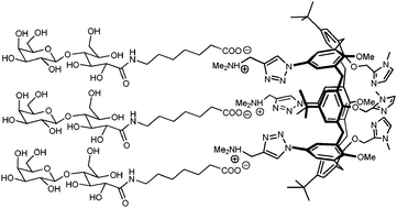 Spontaneous formation of vesicles in a catanionic association involving ...