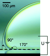 Fundamental challenges in electrowetting: from equilibrium shapes to ...