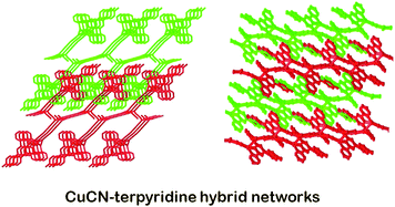 Two CuCN hybrid networks with unusual topology tuned by terpyridine ...