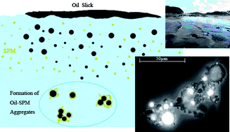 A review of oil-suspended particulate matter aggregation—a natural ...