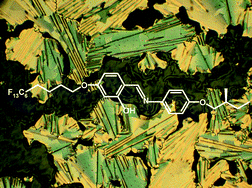 Effect of fluorocarbon chains on the mesomorphic properties of chiral ...