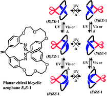 Reversibly tunable helicity induction and inversion in liquid crystal ...