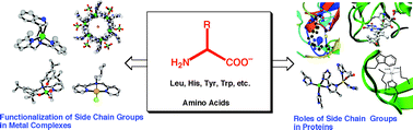 Metal complexes of amino acids and amino acid side chain groups ...