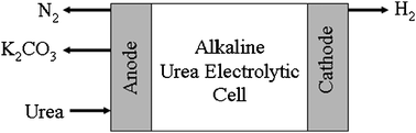 Urea electrolysis: direct hydrogen production from urine - Chemical ...