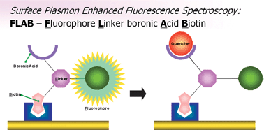 A surface plasmon enhanced fluorescence sensor platform - New Journal ...