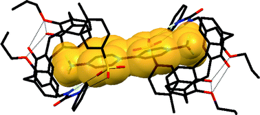 Monotopic and heteroditopic calix[4]arene receptors as hosts for ...