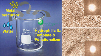 Green one-pot assembly of iron-based nanomaterials for the rational ...